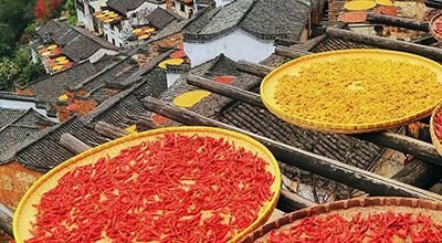 紫光展锐M6780丨画质增强——更炫的视觉体验 | 电子创新网